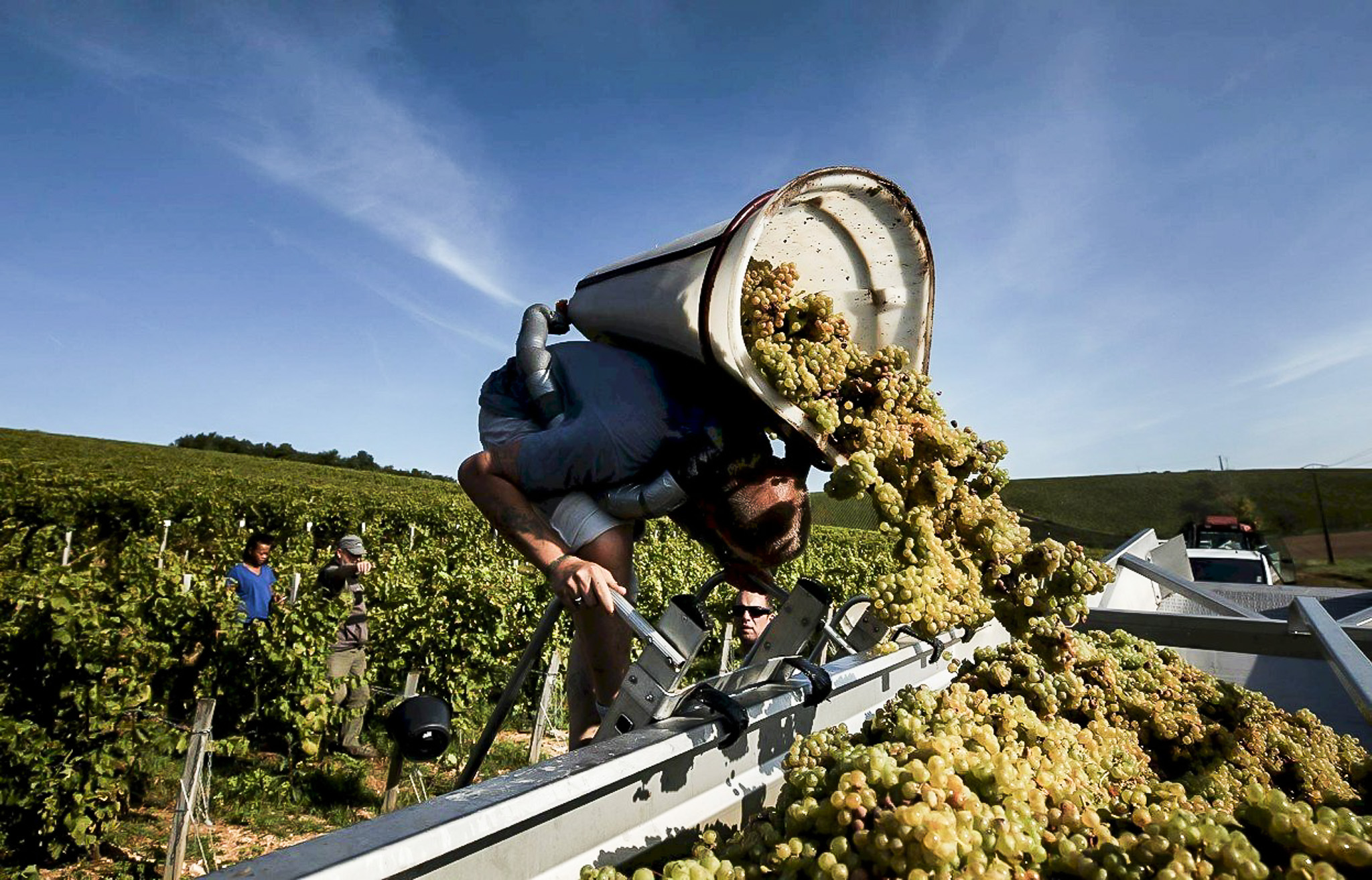 DOMAINE LUCIEN CROCHET SANCERRE ROUGE “LA CROIX DU ROY”2017 – 湯大帥非型日誌