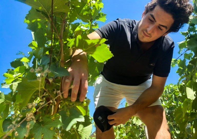 DOMAINE ALAIN & RAPHÄËL CORCIA LES PONTOT MERCUREY 1 CRU ROUGE 2021 – 湯 ...